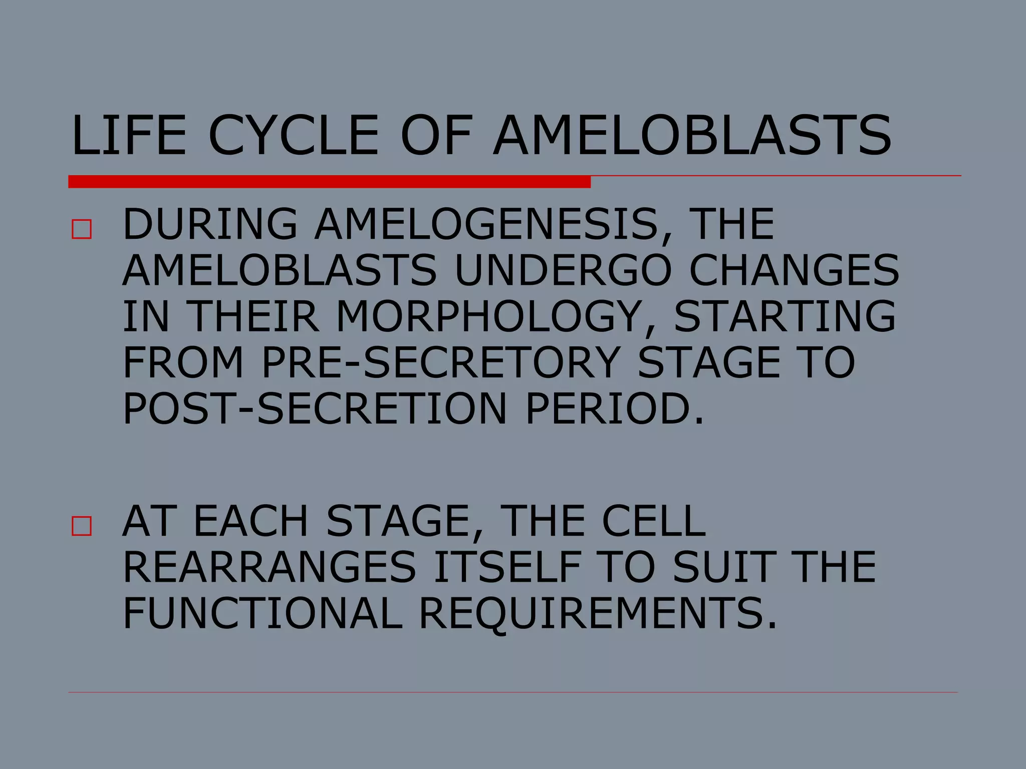 AMELOGENESIS | PPTX