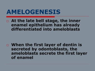 AMELOGENESIS | PPTX
