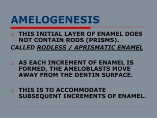 AMELOGENESIS | PPTX