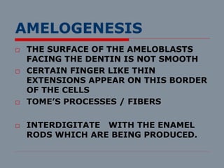 AMELOGENESIS | PPTX