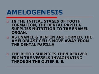 AMELOGENESIS | PPTX