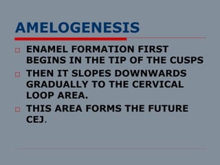 AMELOGENESIS | PPTX
