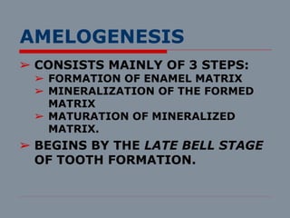 AMELOGENESIS | PPTX
