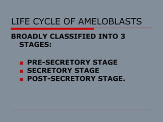 AMELOGENESIS | PPTX