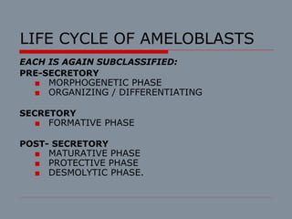 AMELOGENESIS | PPTX