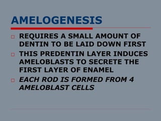 AMELOGENESIS | PPTX