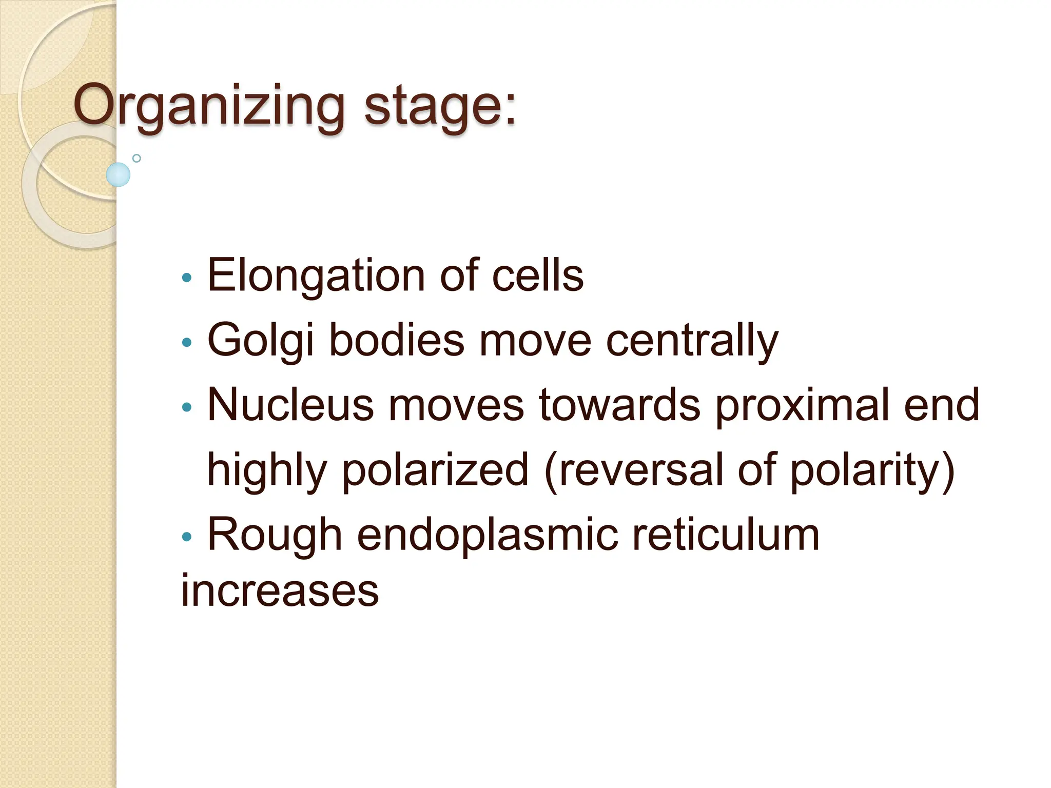 Amelogenesis (enamel formation) oral biology anf histology | PPTX