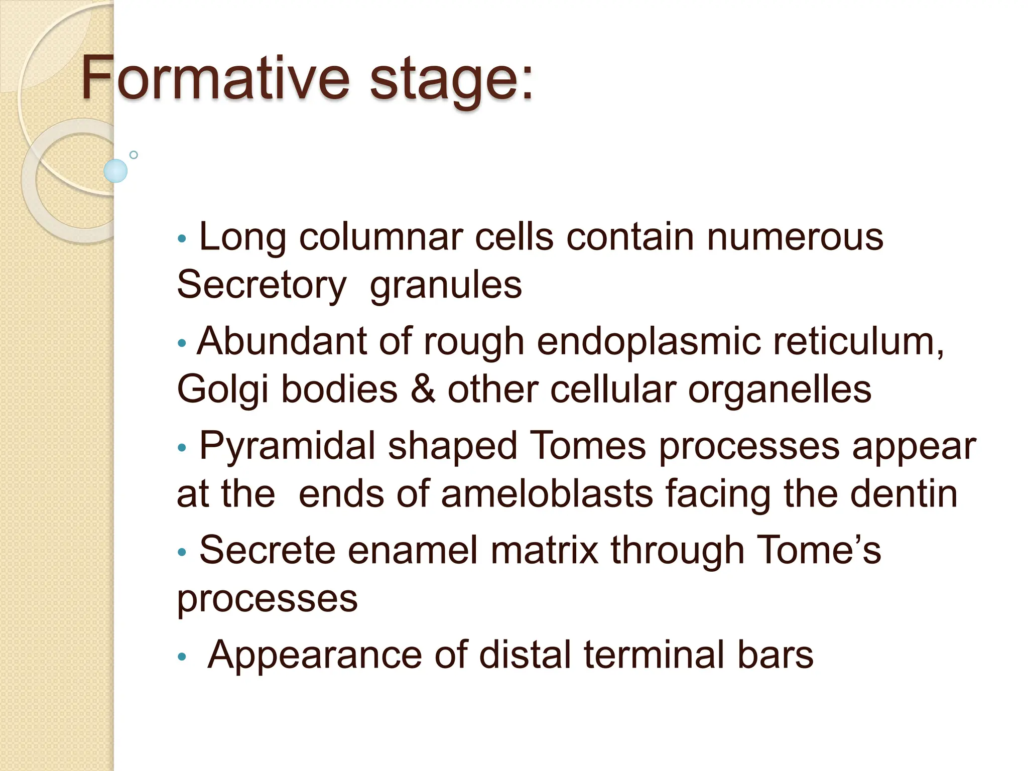 Amelogenesis (enamel formation) oral biology anf histology | PPTX