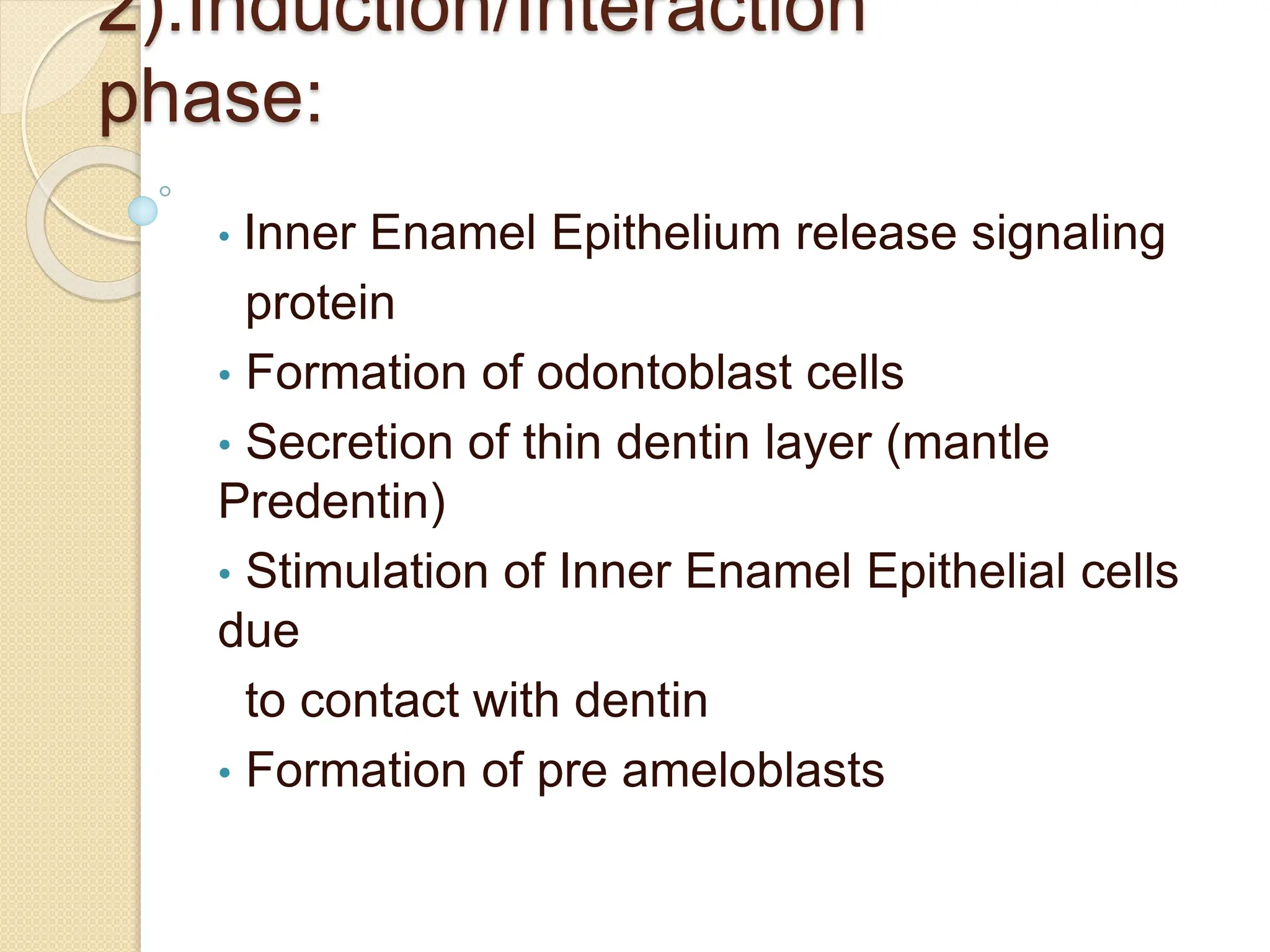 Amelogenesis (enamel formation) oral biology anf histology | PPTX ...