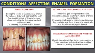 AMELOGENESIS is the process of production of enamel.pptx