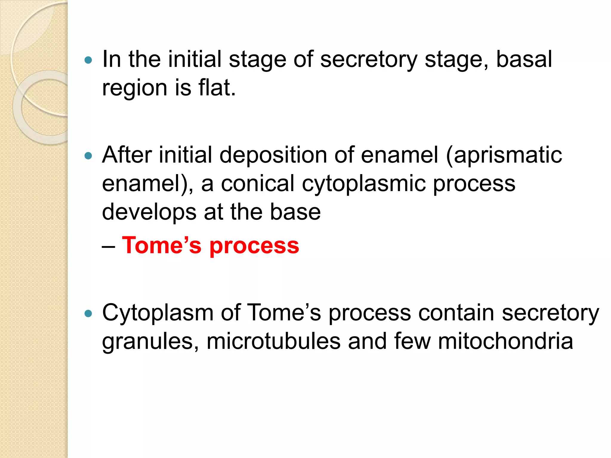 Amelogenesis Slideshare.pptx