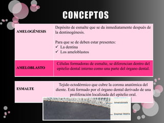 Amelogénesis | PPTX
