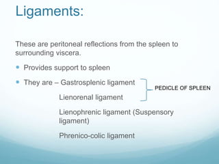 Anatomy and physiology of spleen with surgical implications .pptx