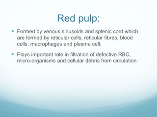 Anatomy and physiology of spleen with surgical implications .pptx