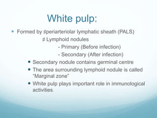 Anatomy and physiology of spleen with surgical implications .pptx