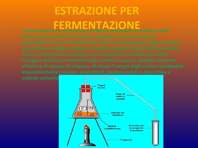 RELAZIONE DI LABORATORIO DI AMENDOLA | PPT