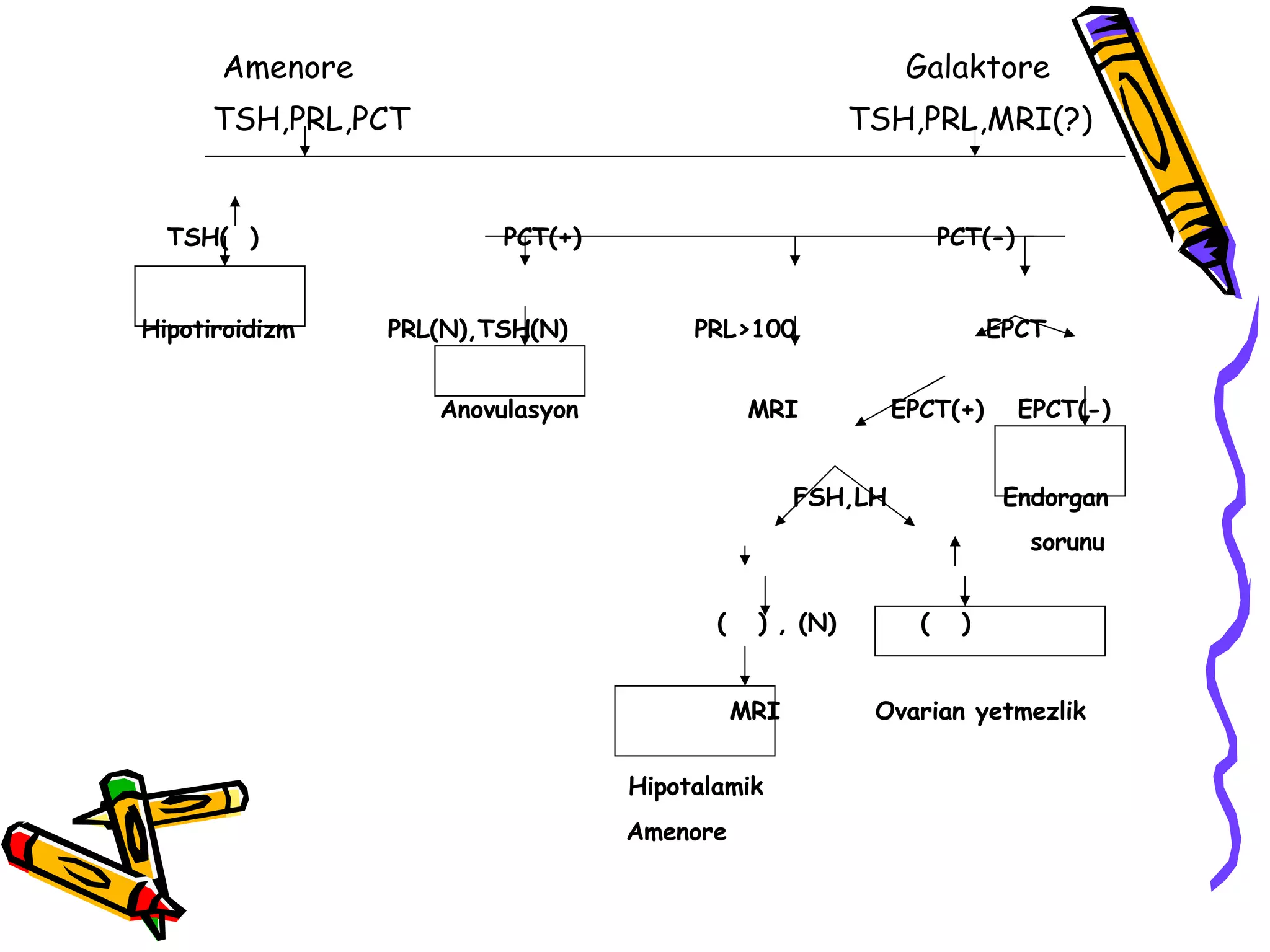 Amenore - www.jinekolojivegebelik.com
