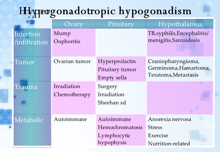 Amenore - www.jinekolojivegebelik.com