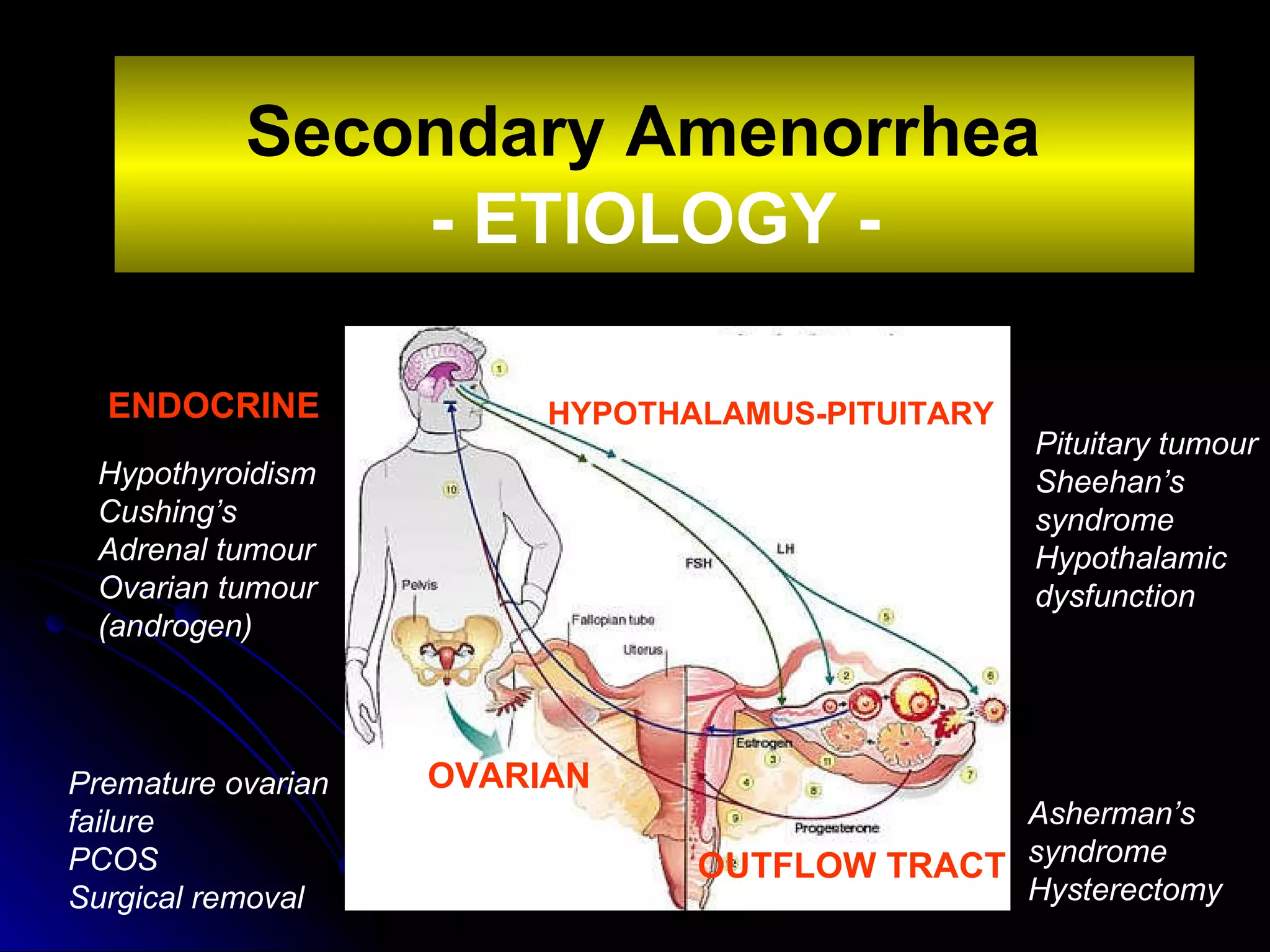 Amenorrhea | PPT