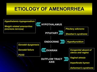 Amenorrhea | PPT