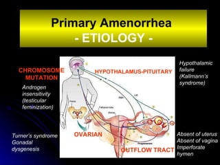 Amenorrhea | PPT