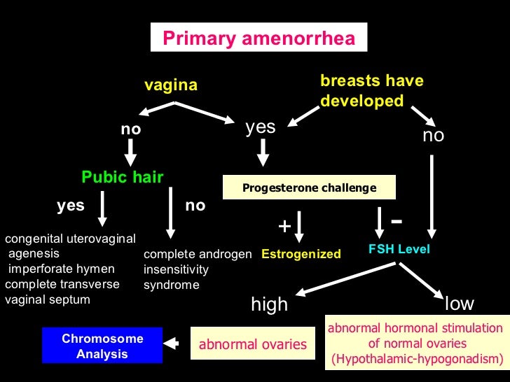 Amenorrhea