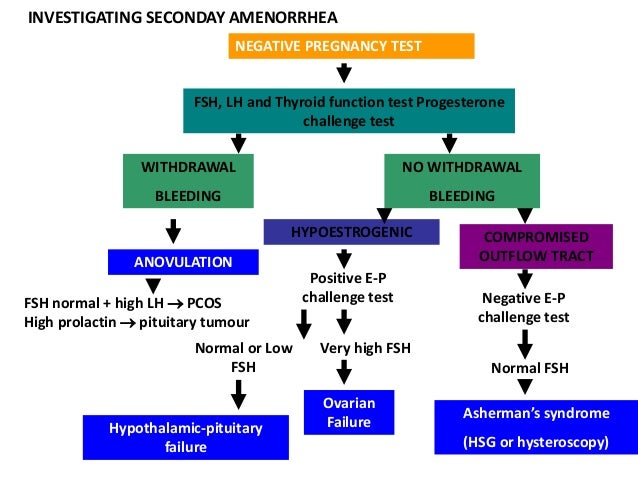Amenorrhoea for undergraduates