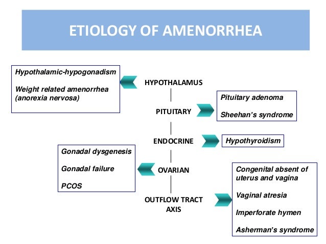Amenorrhoea for undergraduates