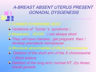 Amenorrhea Ppt
