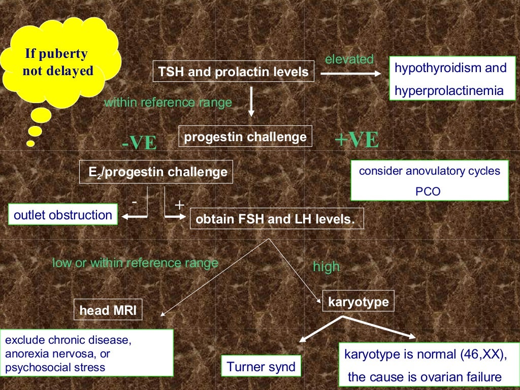 Amenorrhea ppt | PPT