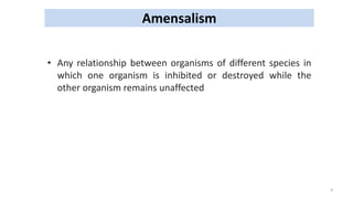 Amensalism | PPTX