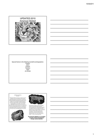 American bobtail 2010 | PDF | Cats | Pets