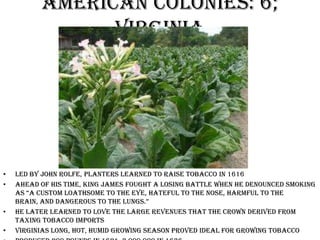 American colonies part 2 | PPTX