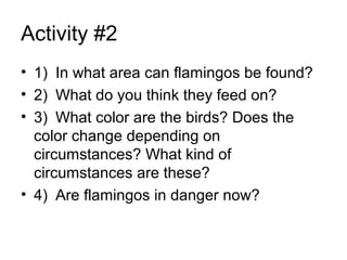 Am Art As A Gateway Part II - Lesson Plan Example | PPT