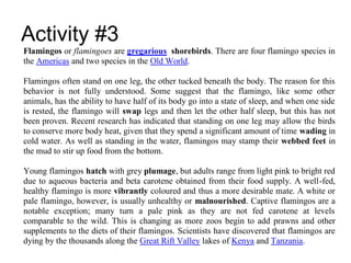 Am Art As A Gateway Part II - Lesson Plan Example | PPT