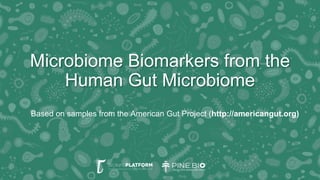 American gut microbiome-2 | PPTX