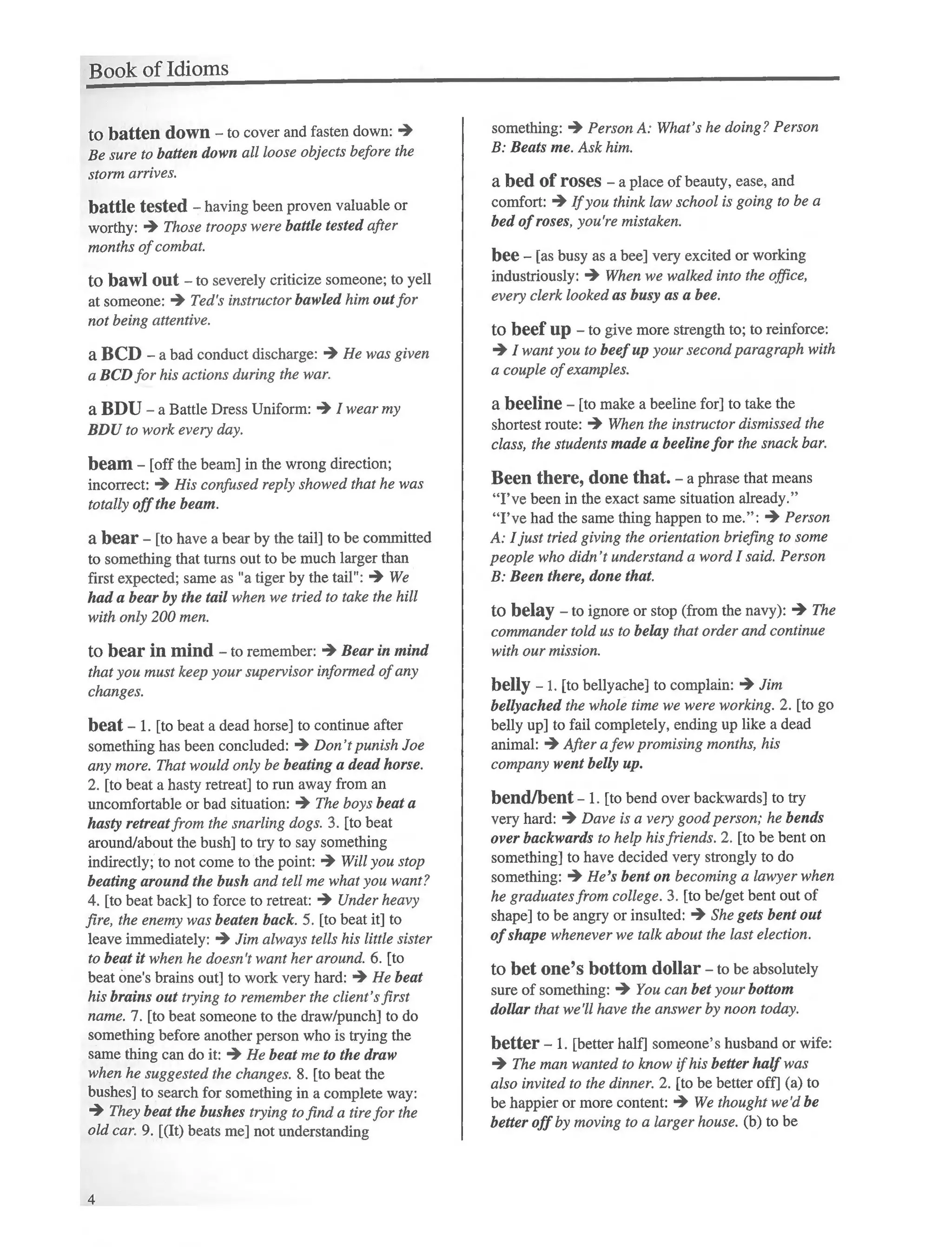 American language course - Book of idioms | PDF