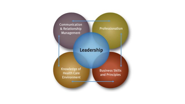 American organization of nurse executives (aone) | PPT