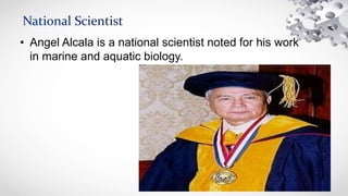 AMERICAN PERIOD.pptx