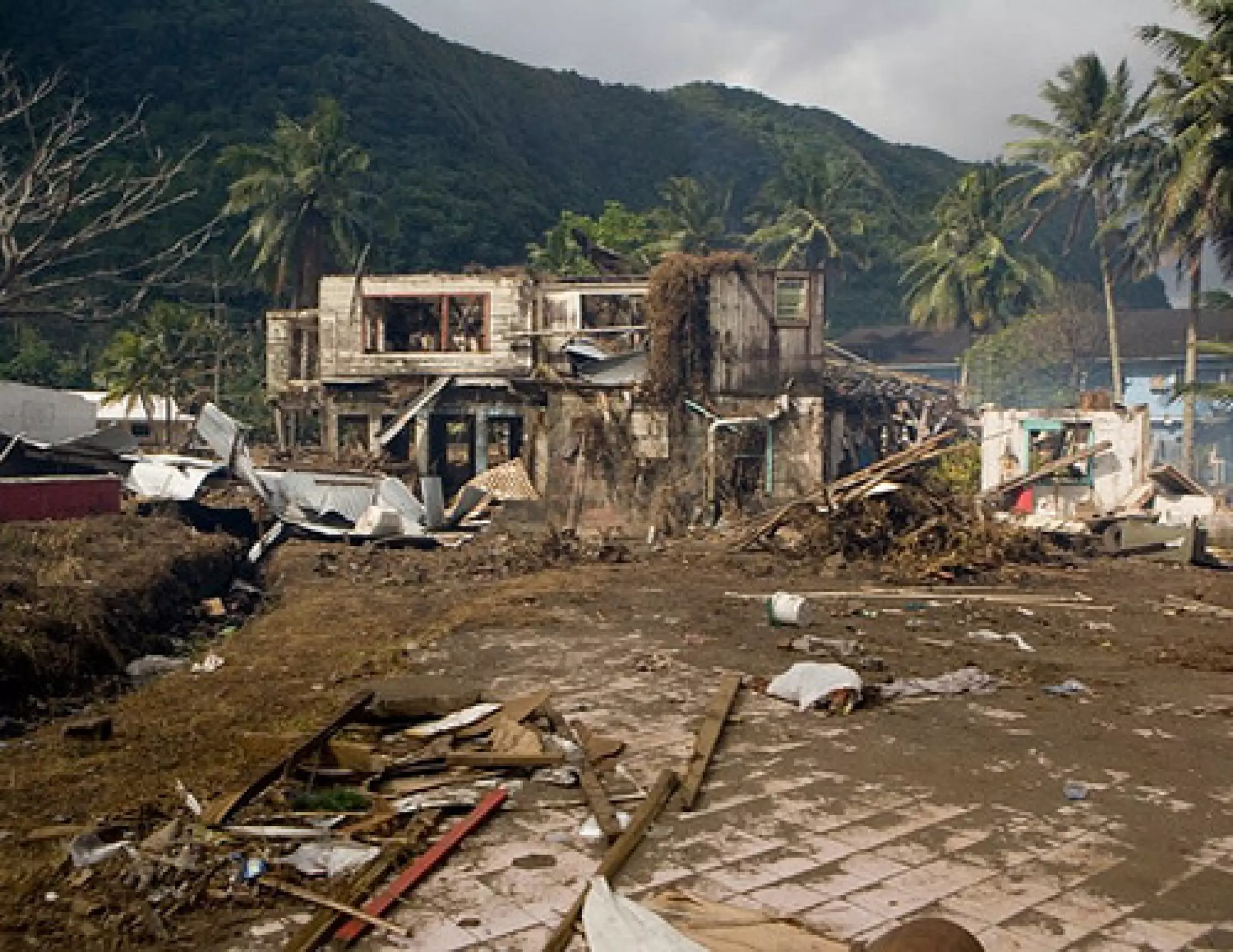 Red Cross Tsunami Relief American Samoa(pacificeyewitness.org) | PDF