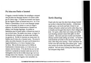 American samoa turtle book | PPT