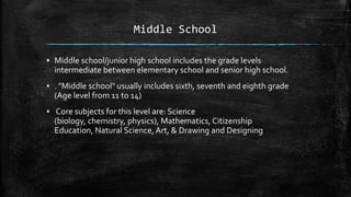 American School System | PPTX