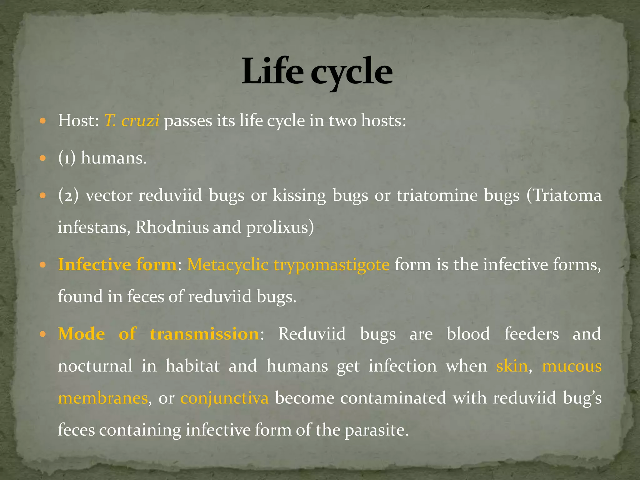 American trypanosoma | PPTX