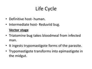 AMERICAN TRYPANOSOMIASIS-CHAGAS DISEASE.pptx