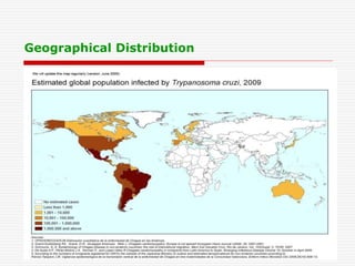 American Trypanosomiasis 2.ppt