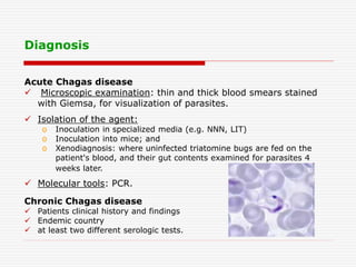American Trypanosomiasis 2.ppt