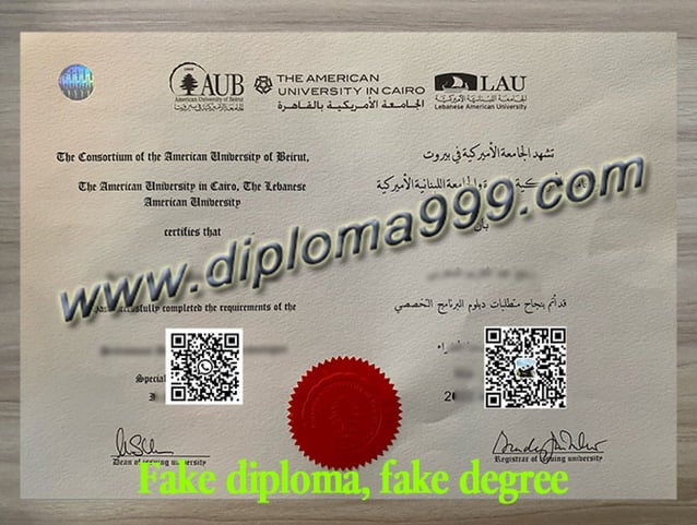 AUC diploma | PPT