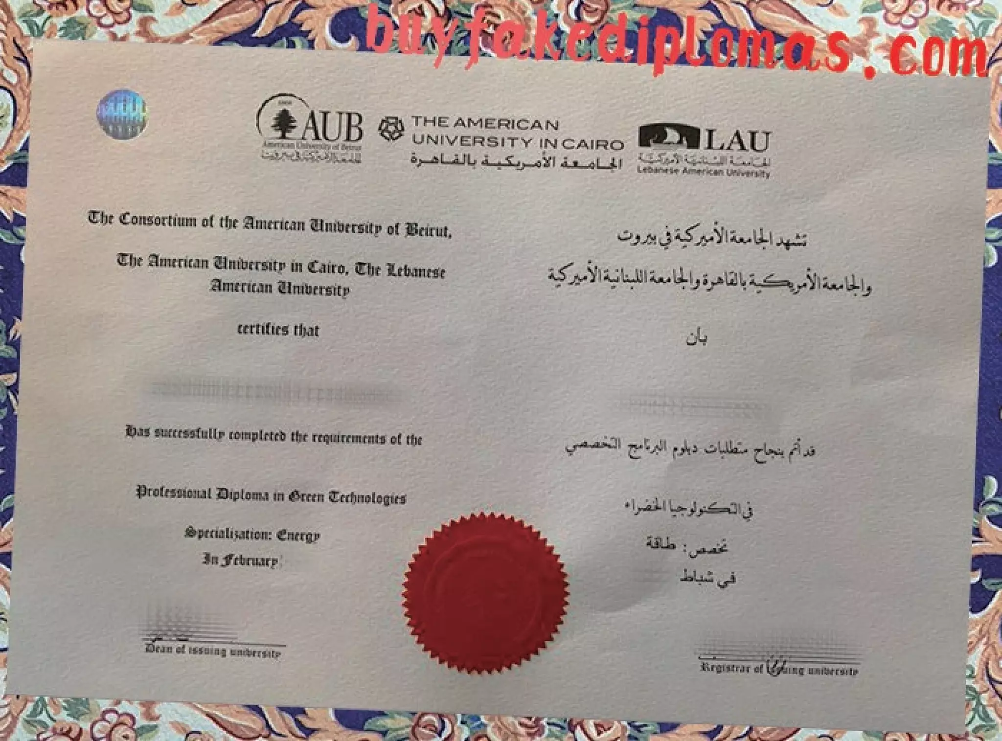 American University In Cairo Diploma buy fake diploma | PPT
