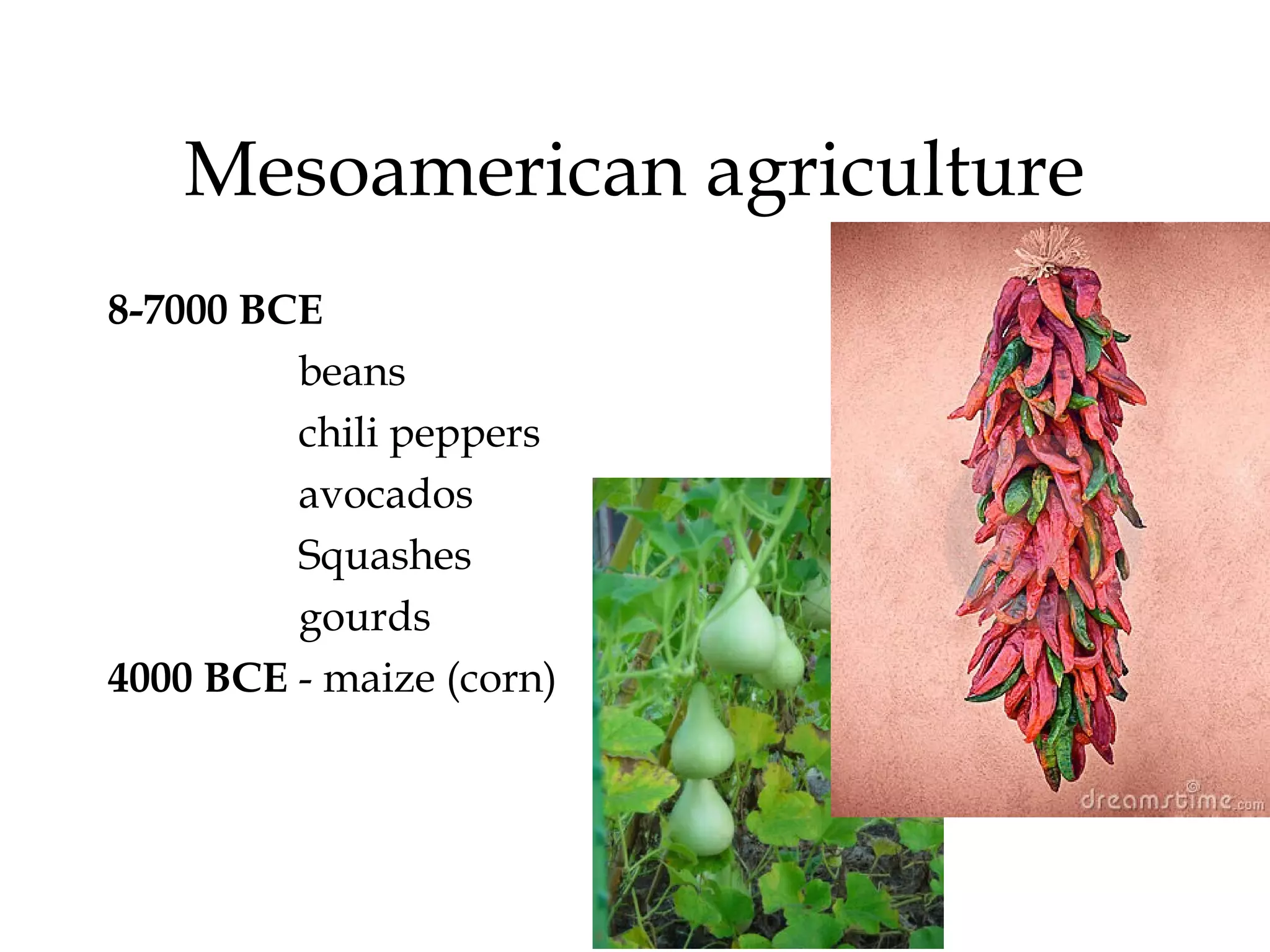 Americas - Chee | PPT