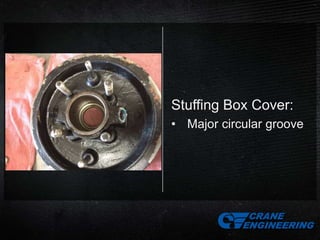 Case Study SlideShare | PPTX | Women\'s Outerwear | Women\'s Clothing